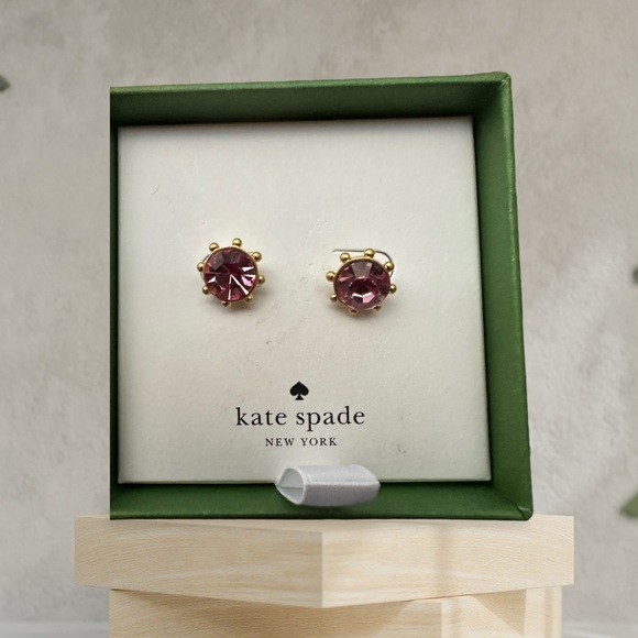 kate spade | Jewelry | Kate Spade Flying Colors Bezel Studs Blush ...